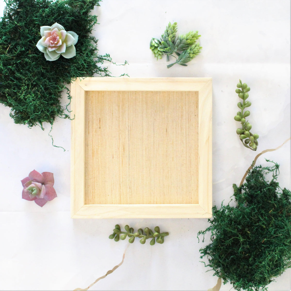 DIY Moss Kit Tutorial – HollyBee and Company